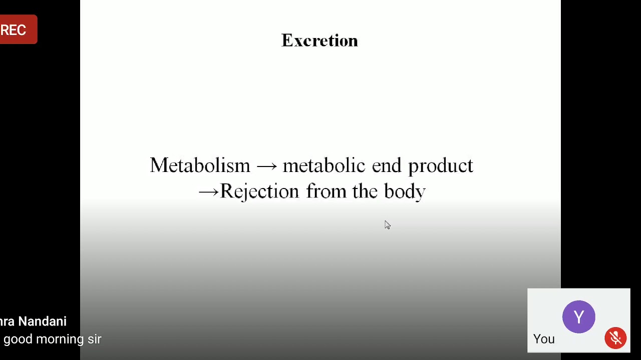 introduction of ranal system - YouTube