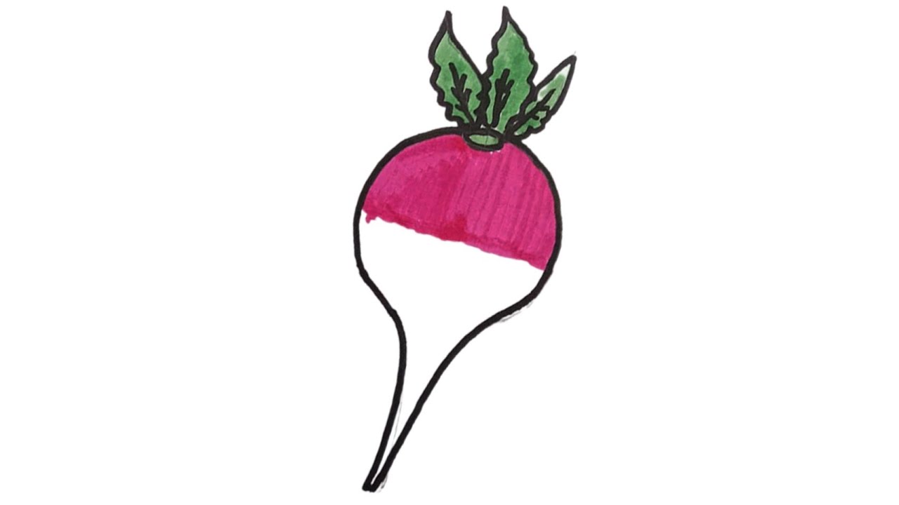 easy drawing of turnip step by step for beginners#satisfying art||# ...