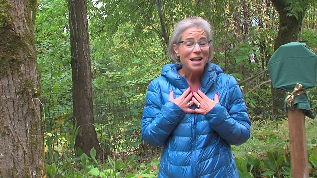 Norma and Don Gillespie's plaque instillation at Finnies Garden - YouTube