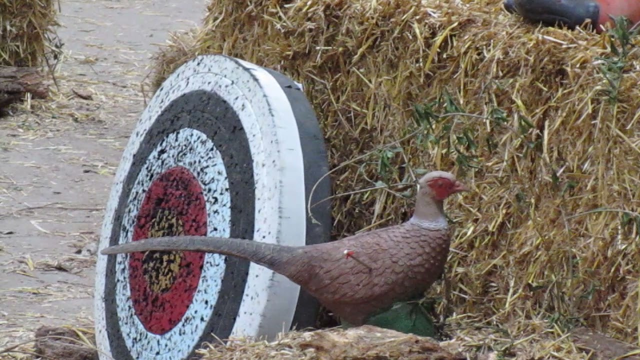 THE ARCHERY BARN 22.02.2013 012 - YouTube