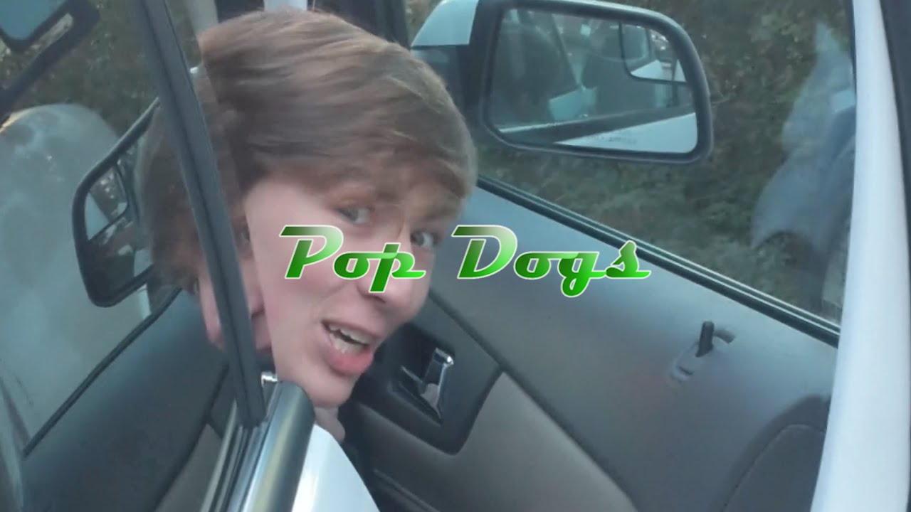 Pop Dogs - Do you ever just pop dogs? - YouTube