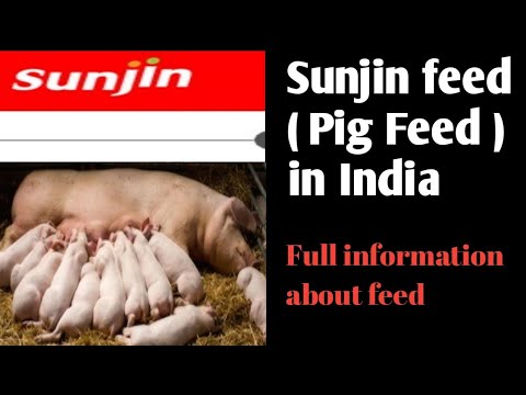 Sunjin Feed (Pig feed) in India - YouTube