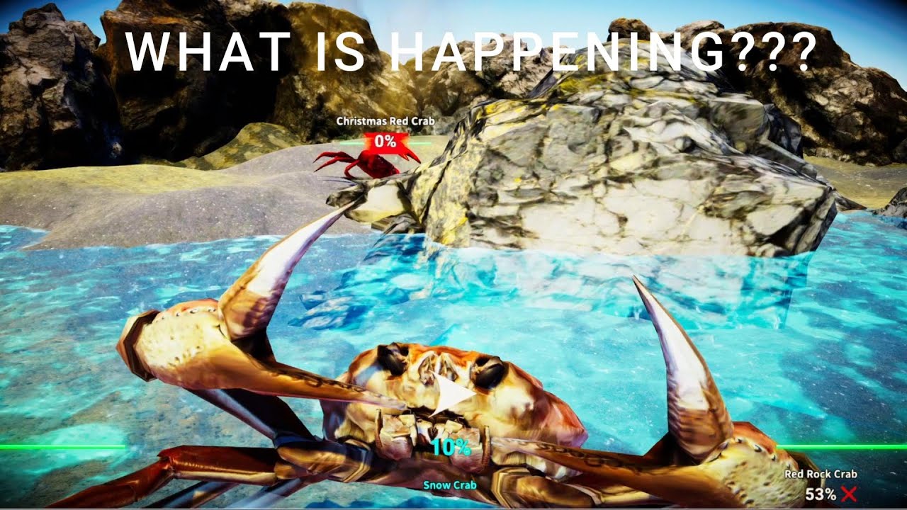 MOST ACCURATE CRAB SIMULATOR-CRAB FIGHT - YouTube
