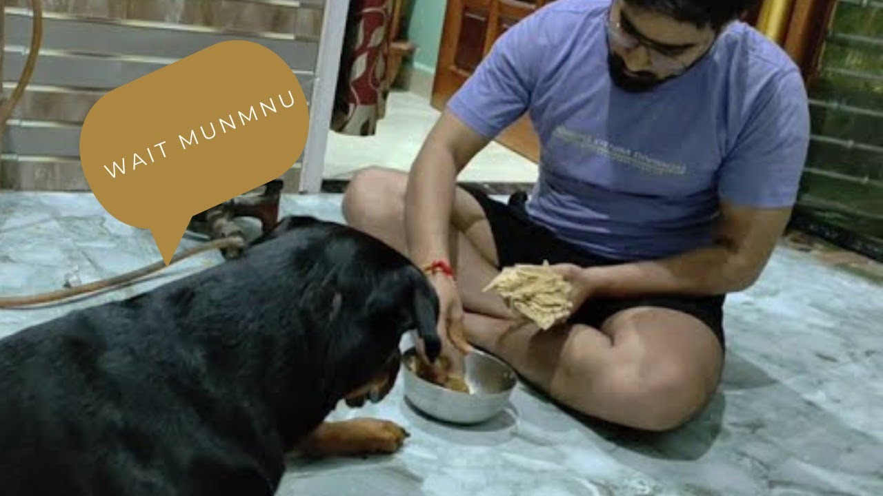 rottweiler eat red meat || my dog is Greedy 🙂 || funny dog videos ...