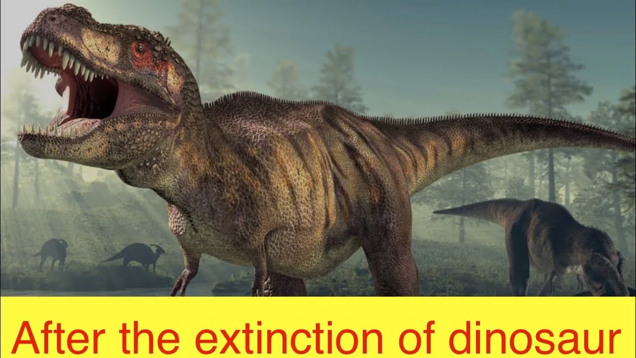 What happened immediately after the dinosaur went extinct? | dinosaur extinction - YouTube