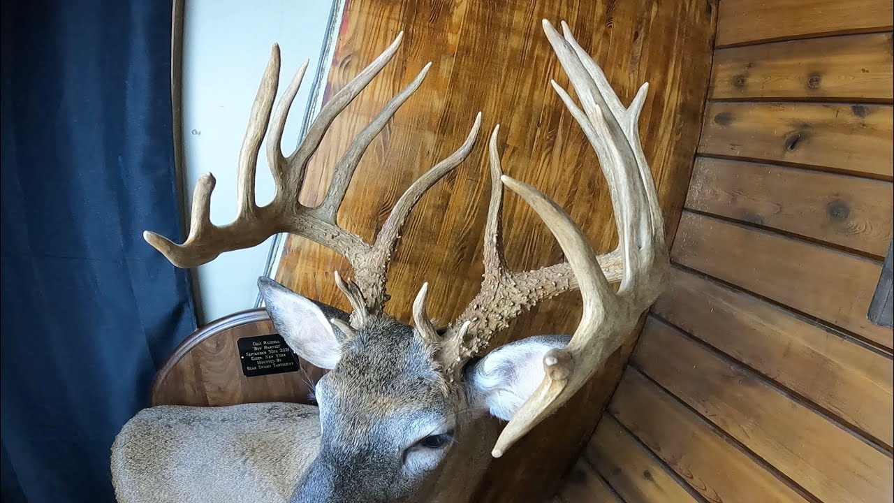 Giant Adirondack Buck: Colt Russell and his story of the highest ...