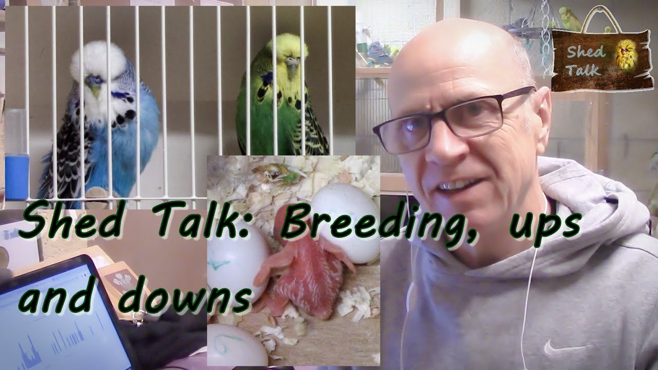 Series 4 Episode 27: Breeding; ups and downs - YouTube