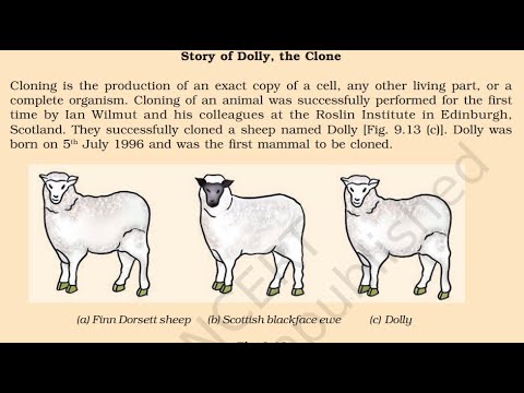 CLASS 8- CONCEPT OF CLONING, A CASE-STUDY OF DOLLY - YouTube
