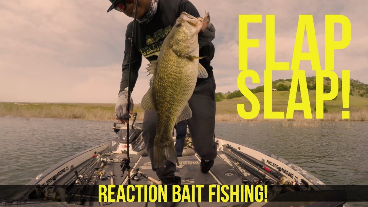 Reaction Bait Fishing for Bass and Crappie Northern California - YouTube