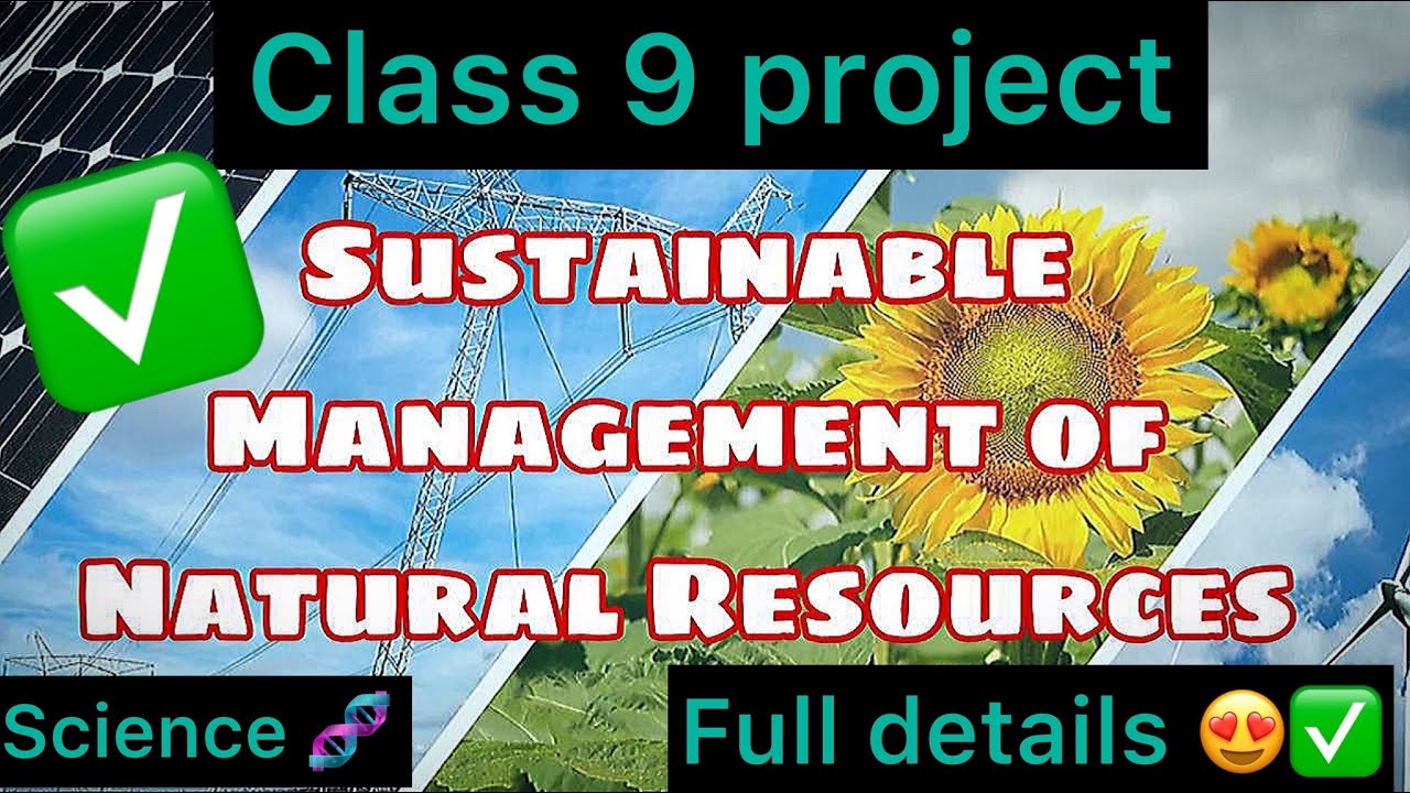 CLASS 9 Project | Sustainable management of natural resources - YouTube