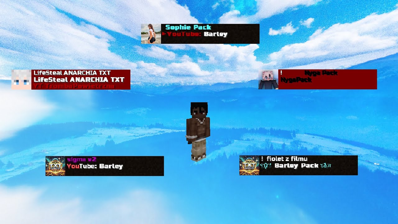 ANARCHIA.GG| Najlepsze TXT PACKI Na Tryb Lifesteal #minecraft #anarchia #boxpvp #txt # ...