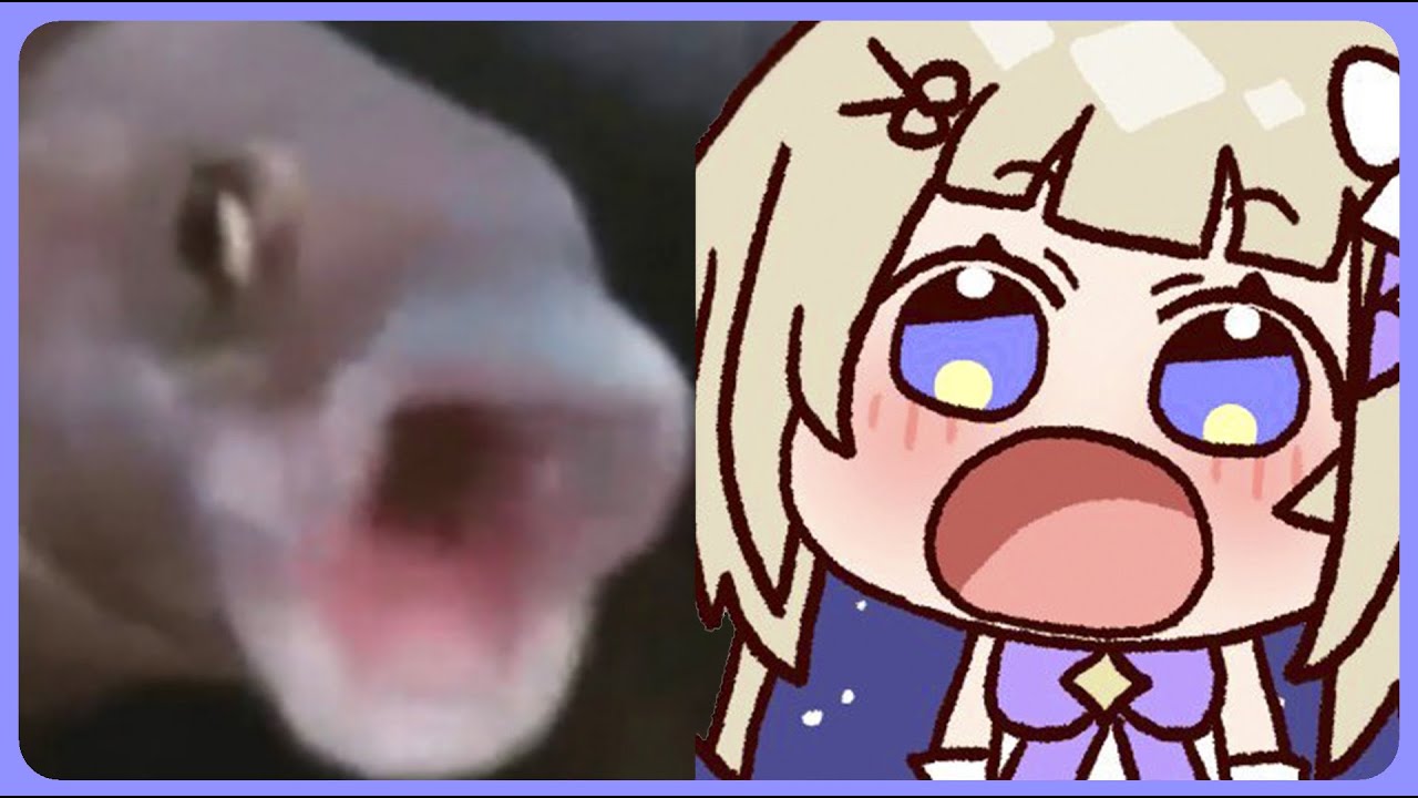 Shiina And The Pogging Fish - YouTube