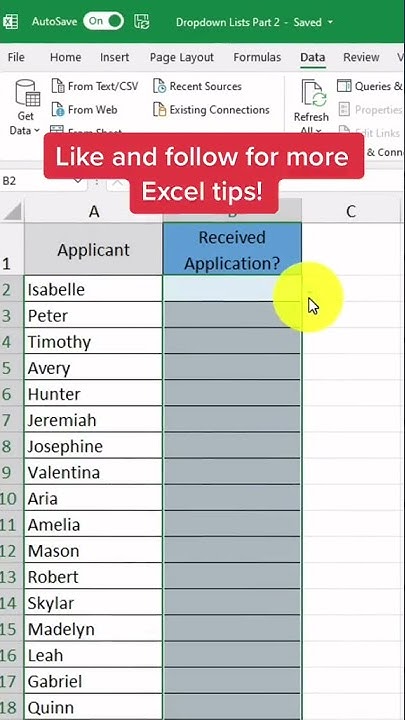 Excel tricks (Create yes no drop down list) - YouTube