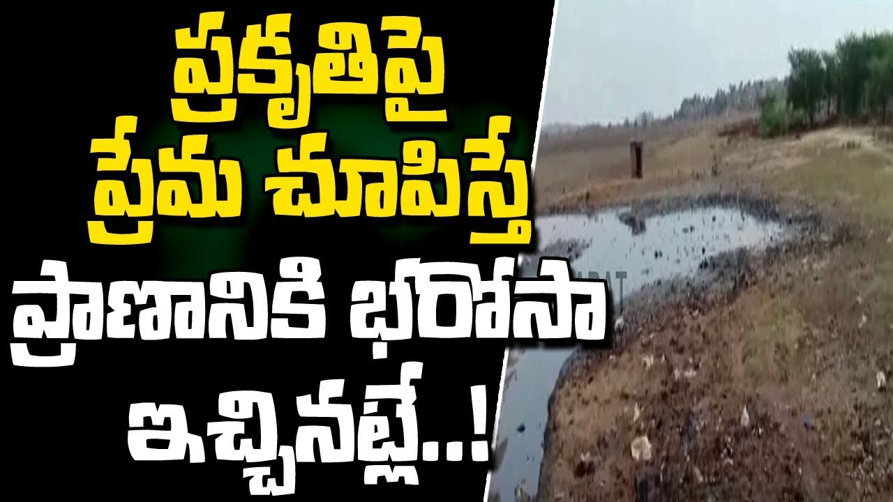 Awareness Rally On Environment Day In Pashamylaram ll SC Advocate ...