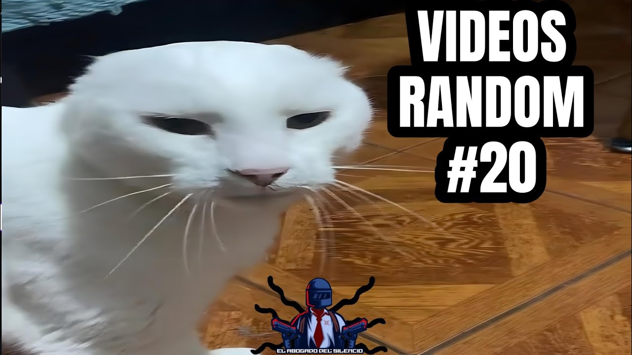 VIDEOS RANDOM #20 - YouTube