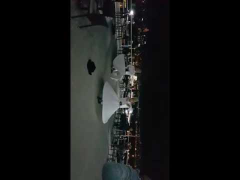 Yedi Tepe cafe mehmet kazan