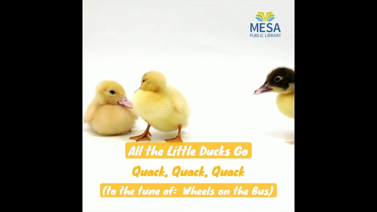All the Little Ducks Go Quack, Quack, Quack - YouTube