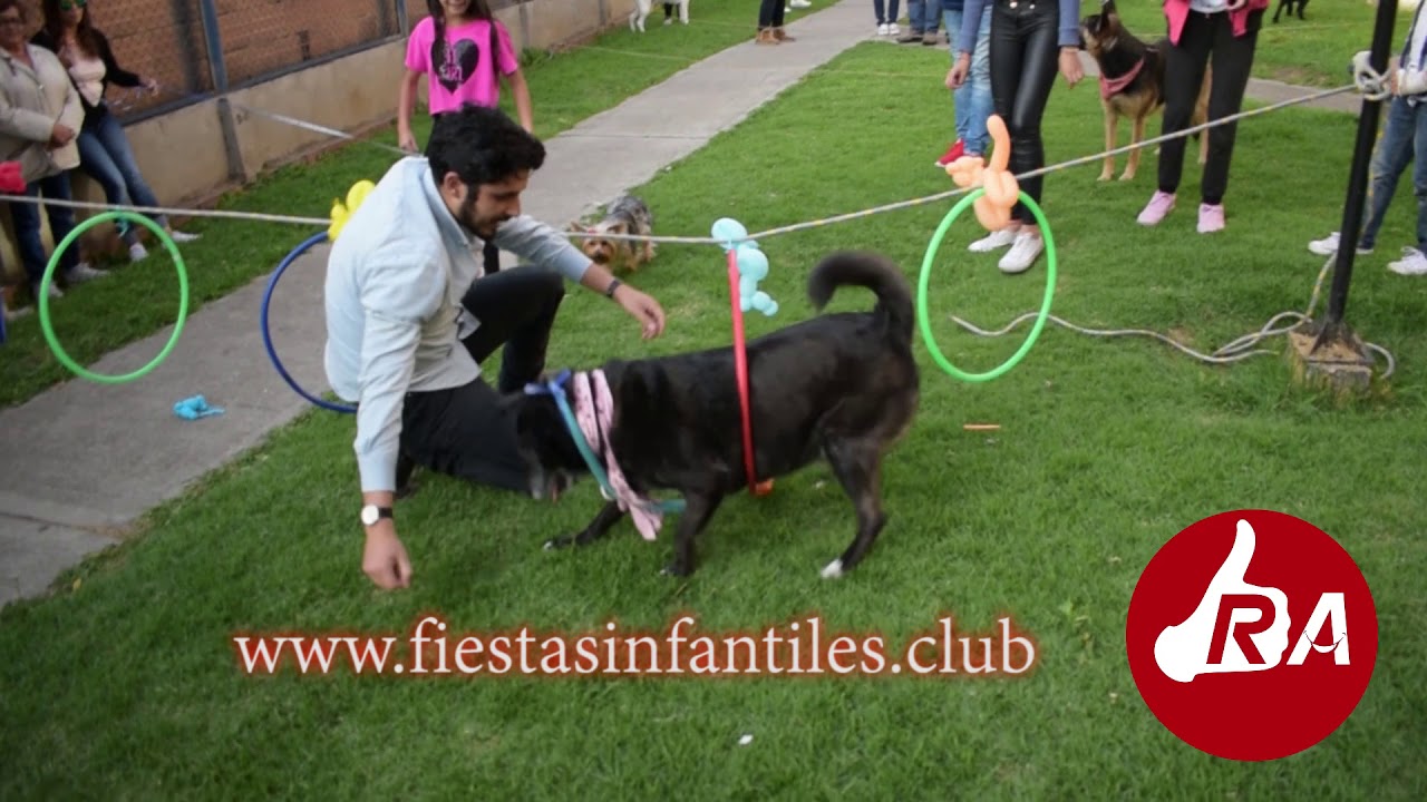 Eventos Para Perros/ R.A Fiestas Infantiles - YouTube