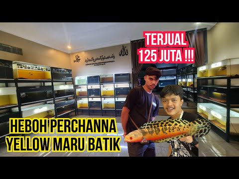 VIRAL 2024 PECAH REKOR !!! DI BELI 125JUTA CHANNA MARU BATIK FAJAR ARIEF - TOLIB KE FILIPHIN