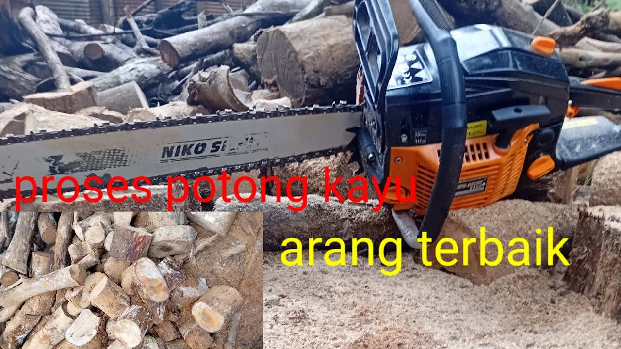 proses pemotongan arang terbaik dari kayu bitti - YouTube