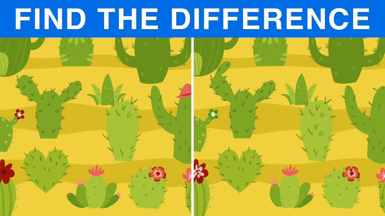 Find The Difference | Challenge 794 - YouTube
