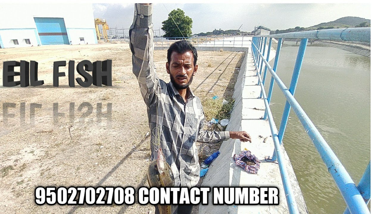 Eile fish/koratla fishing - YouTube