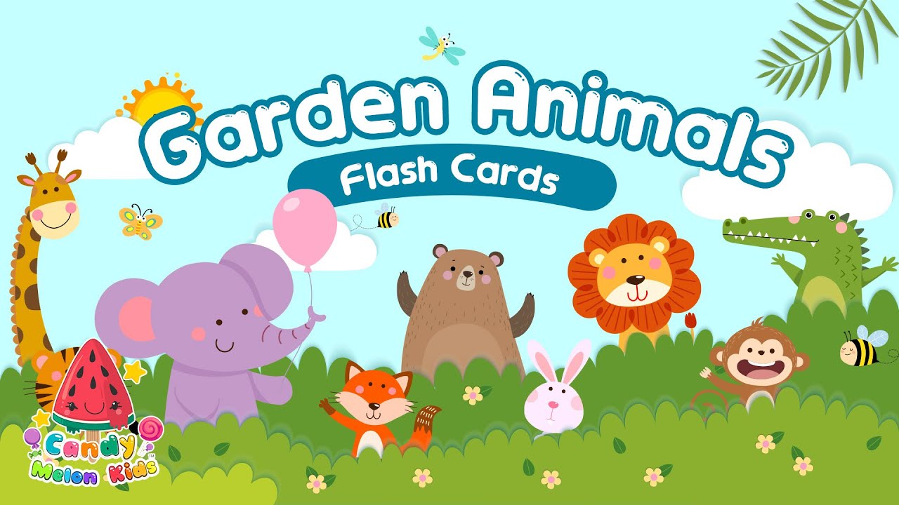 Garden Animals Flash Cards | Video Flash Cards | Learn to Talk ...