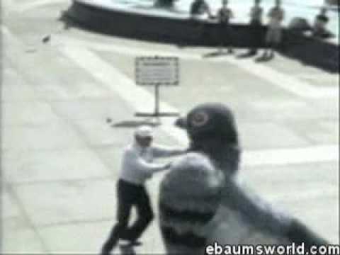 Agressive pigeons (EXTREMLY FUNNY!!) - YouTube