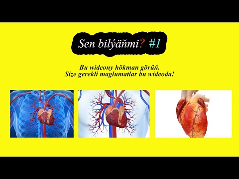 Sen bilýäňmi? #1.Gan aýlanyşyň ähmiýeti.Hökman görüň.Size gerekli maglumatlar bu wideoda.