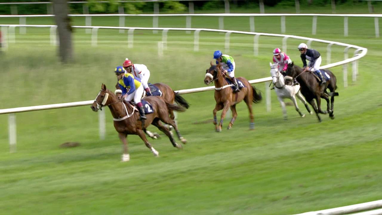 Pferderennen Aarau 1. Renntag 2016, 8. Rennen - YouTube