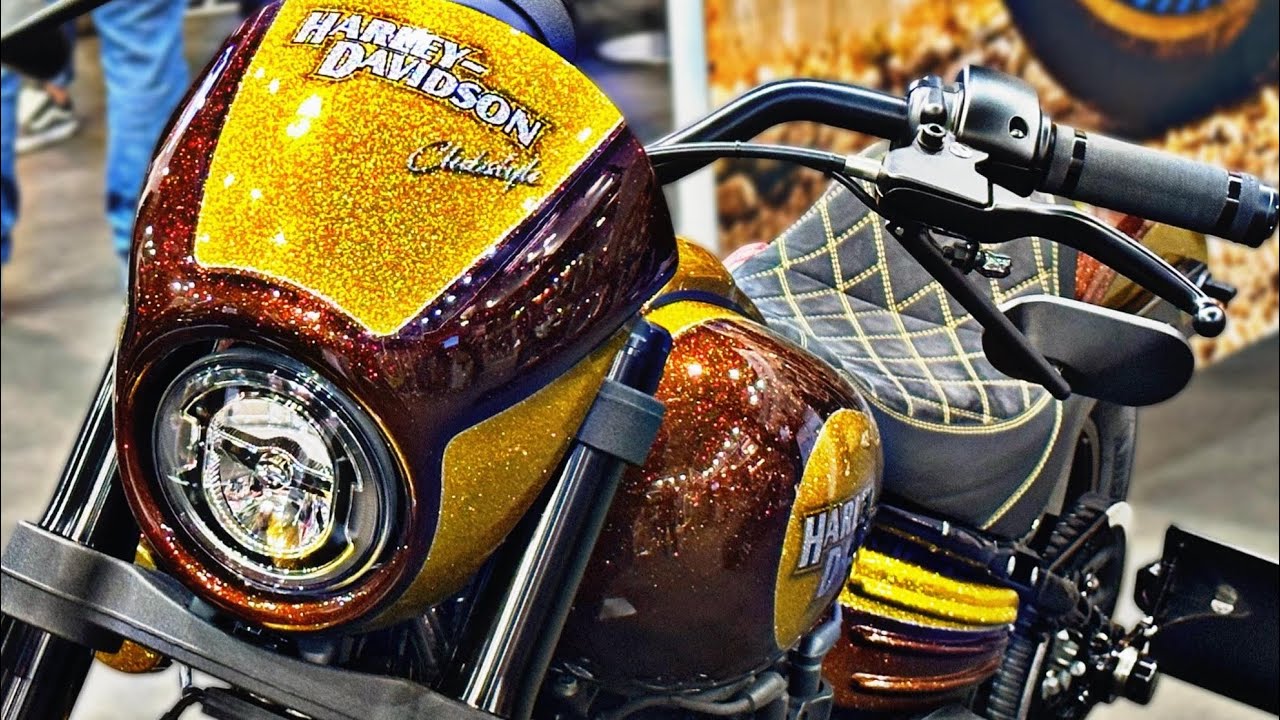 30 Best Looking Harley-Davidson Custom Motorcycles For 2024\2025 - YouTube