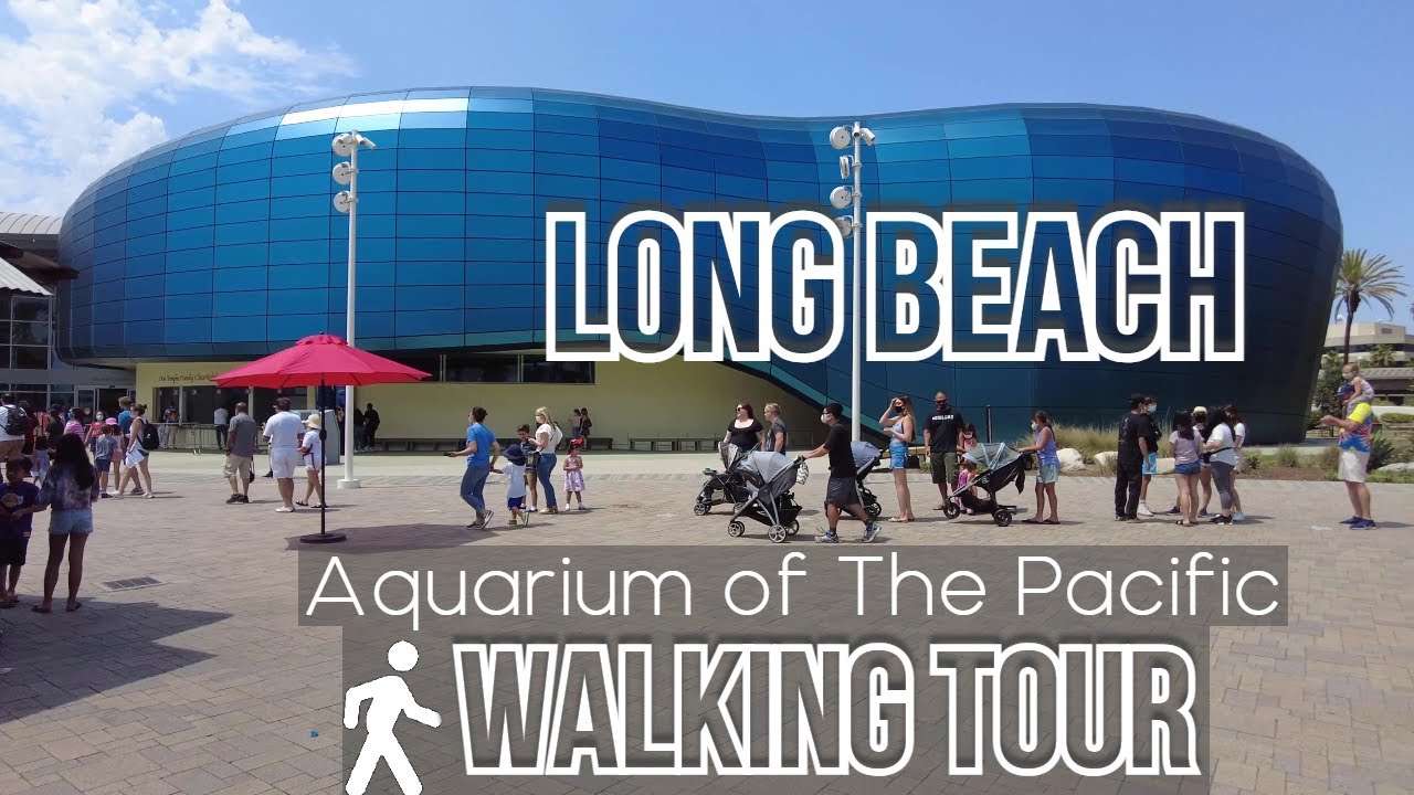 🐠 Aquarium of The Pacific | Long Beach | 4K Walking Tour - YouTube