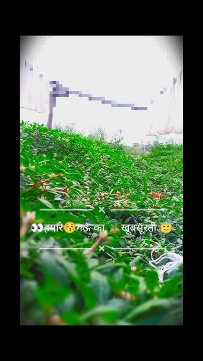 🎬welcome 🏅Tu mere Gaon Ka 😗Mausam#trending #viralvideo #viralshorts #trending 🤗 - YouTube