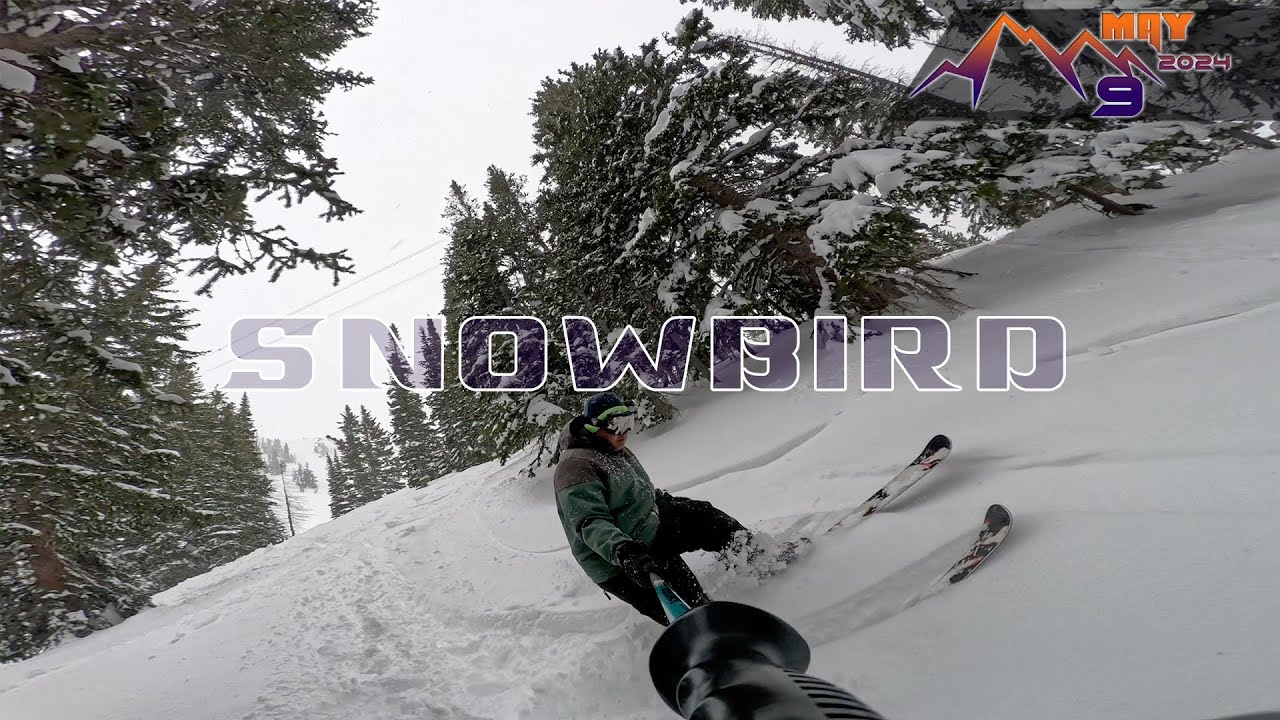 050924 Snowbird - YouTube