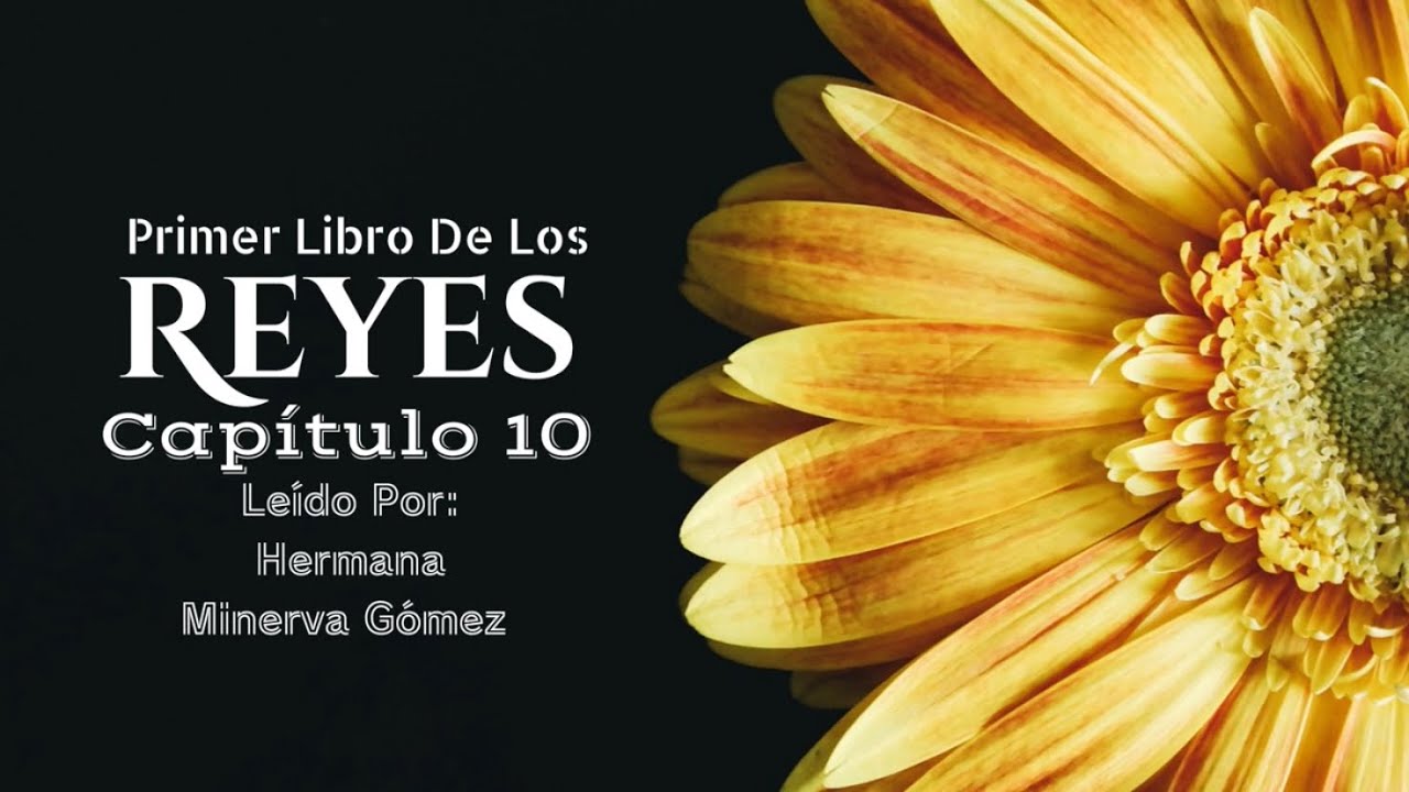 Primer libro de los Reyes | Capítulo 10 | Leído Por: Hermana Minerva ...