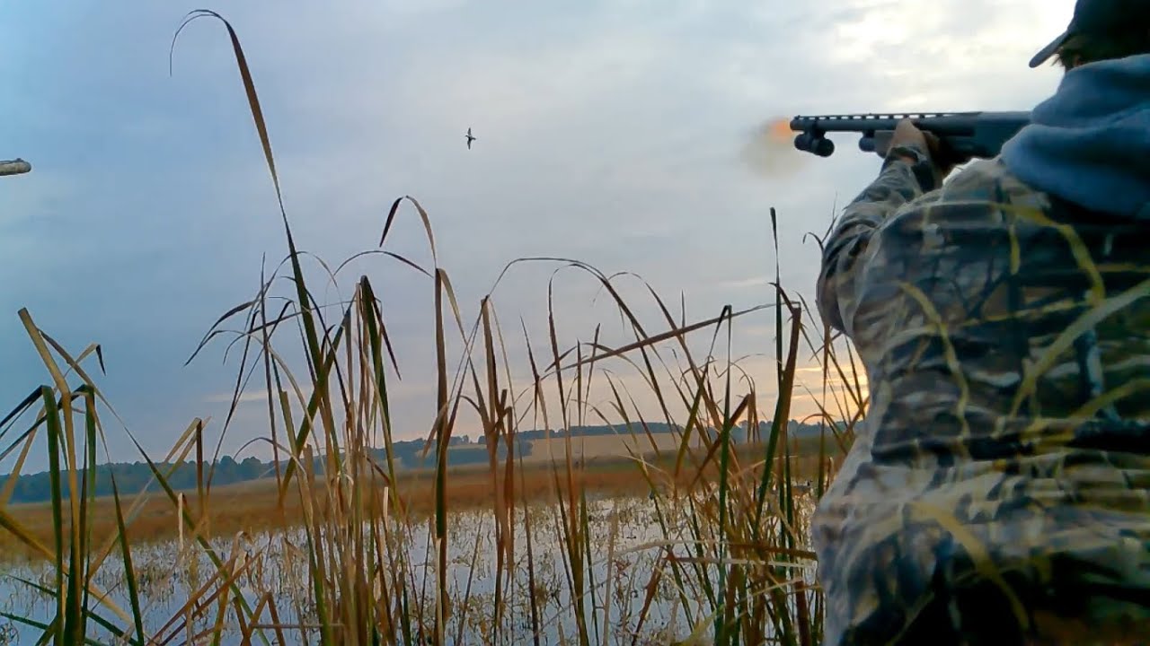 OPENING DAY SOUTHERN WISCONSIN DUCK HUNTING (SHOT KAM) - YouTube