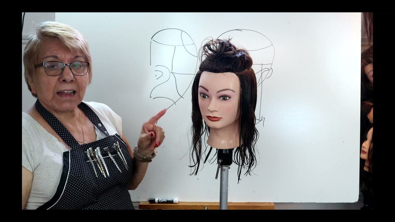A to Z Cosmetology Learn How to Diagram a Hair Cut Part 2 - YouTube
