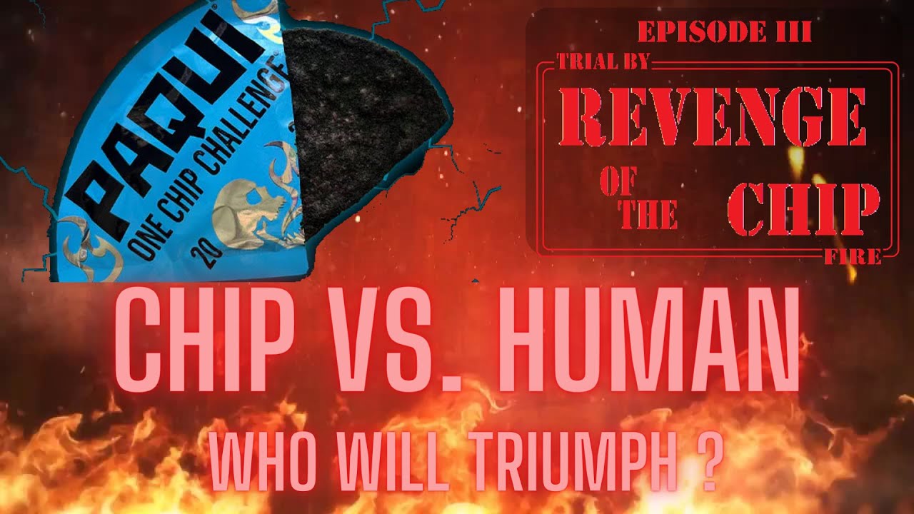 One Chip Challenge 2022 (Chapter 3: Revenge of the Chip) # ...