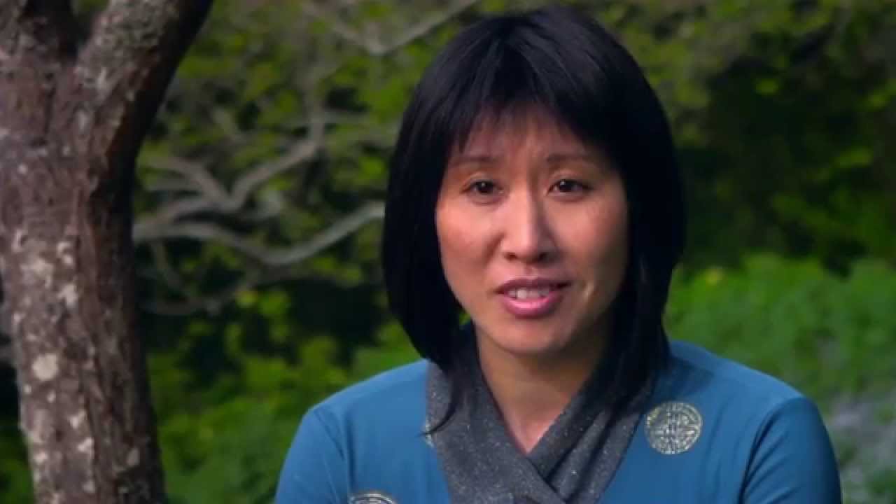 Li Jing - Calming the Heart - YouTube