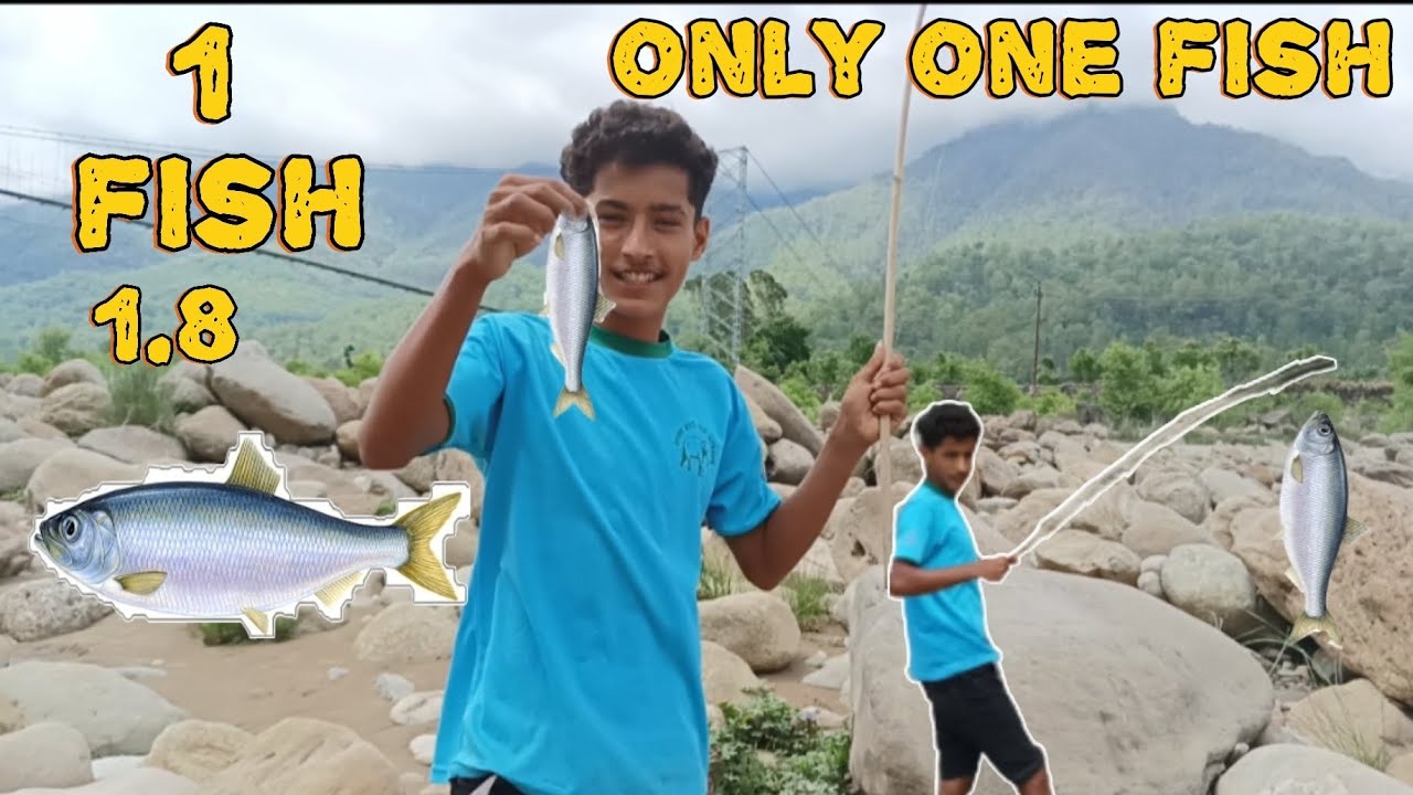 only one fish for balchi😱😡#youtube#foryou#ncramesh - YouTube