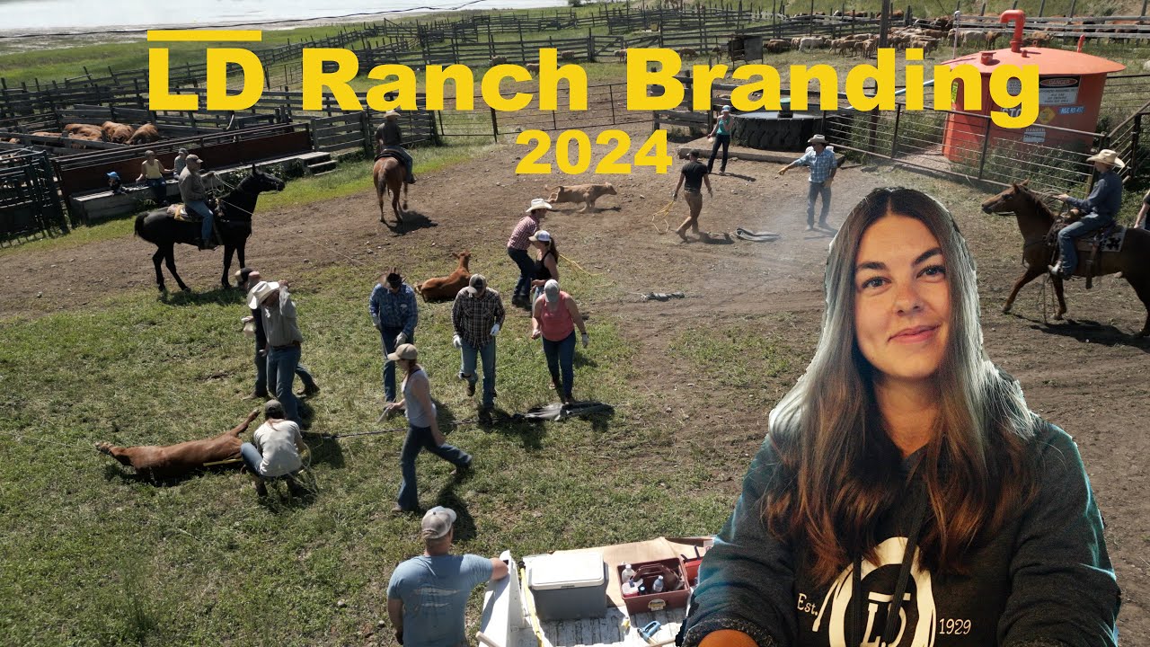 BAR LD Branding Event 2024 | Bonnyville, Alberta - YouTube