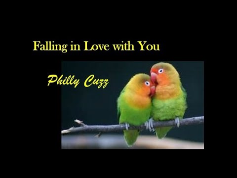 Philly Cuzz - Falling In Love With You - YouTube