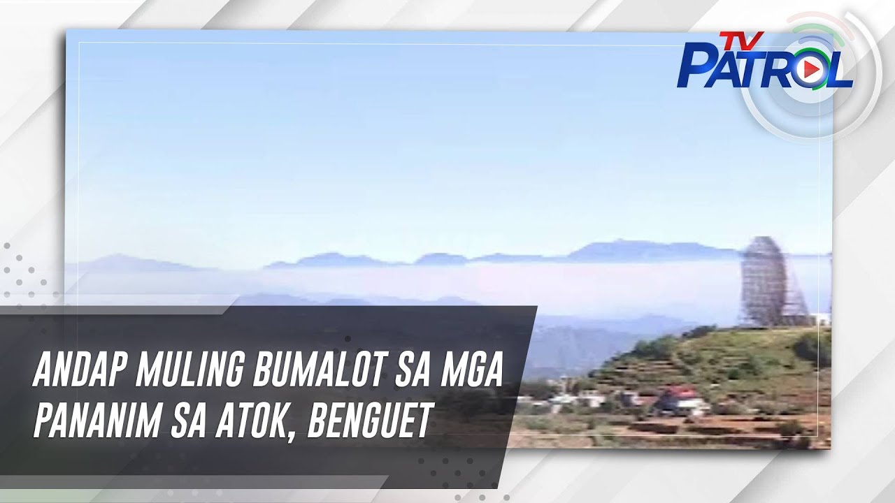 Andap muling bumalot sa mga pananim sa Atok, Benguet | TV Patrol - YouTube
