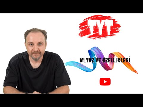 2024 TYT Biyoloji Mitoz Bölünme Evreleri