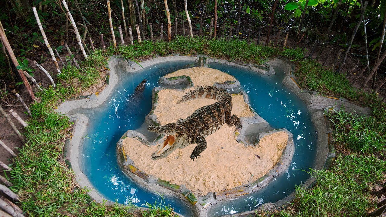 Building Crocodile Pool For Wild Crocodile - YouTube