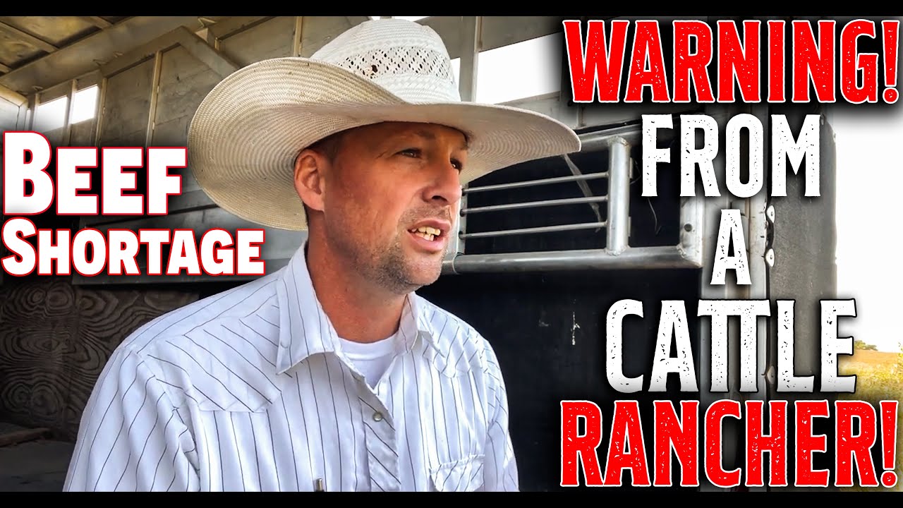 WARNING! From A CATTLE RANCHER! • Why CATTLEMEN Are Being Told to SHUT ...