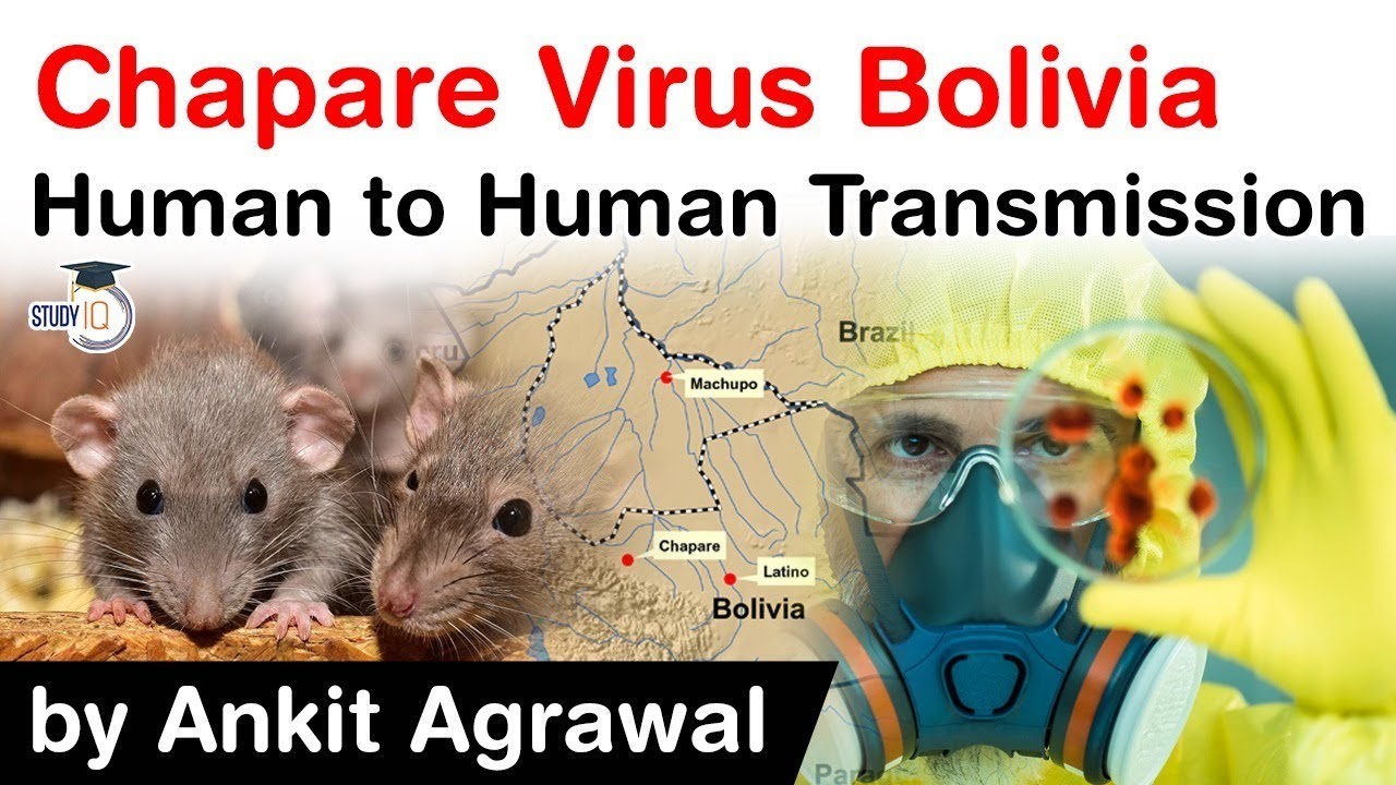 Chapare Virus outbreak in Bolivia - Possible threat of human to human ...