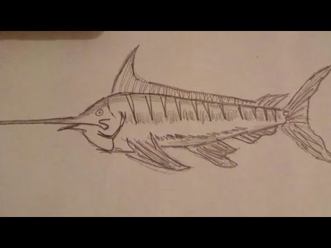 Cómo dibujar un pez espada sencillo/ How to draw a simple swordfish ...
