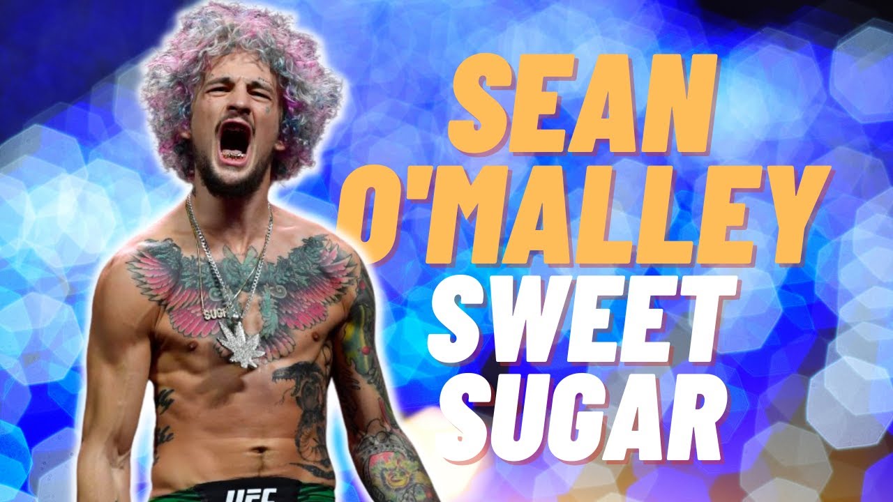 Sweet Sugar Sean O'Malley Highlights! - YouTube