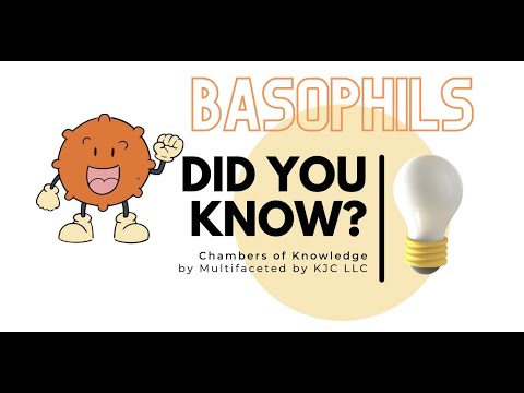 Anatomy (Structure) of a Basophil - YouTube